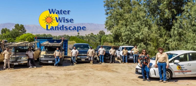 Bermuda Dunes Landscaping Experts | Water Wise Landscape